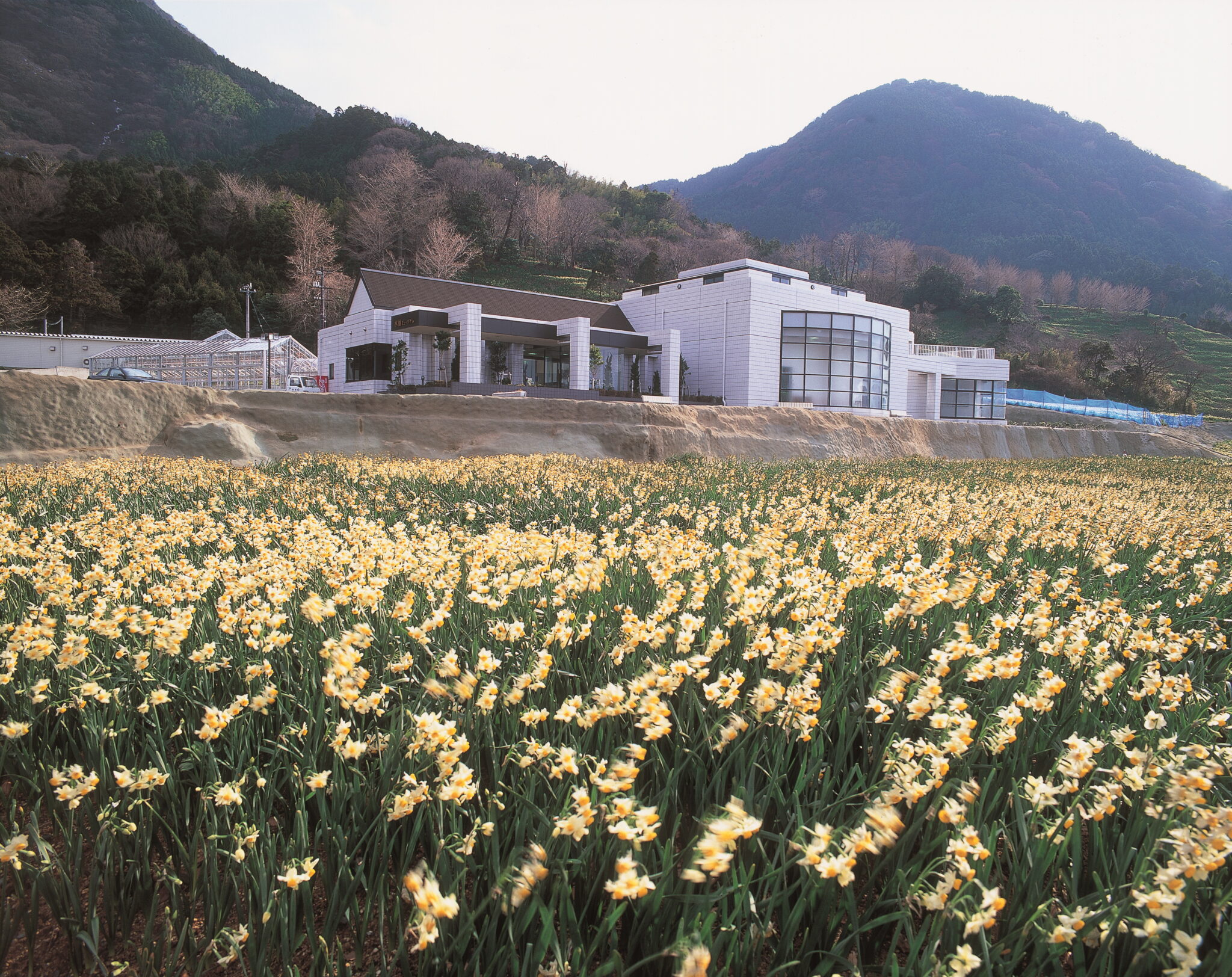 Echizen Coast - Fukui Tour Guides Association